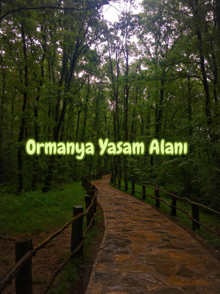 Ormanya Yaşam Alanı - Hobbit Köyü - Kamp ve Karavan